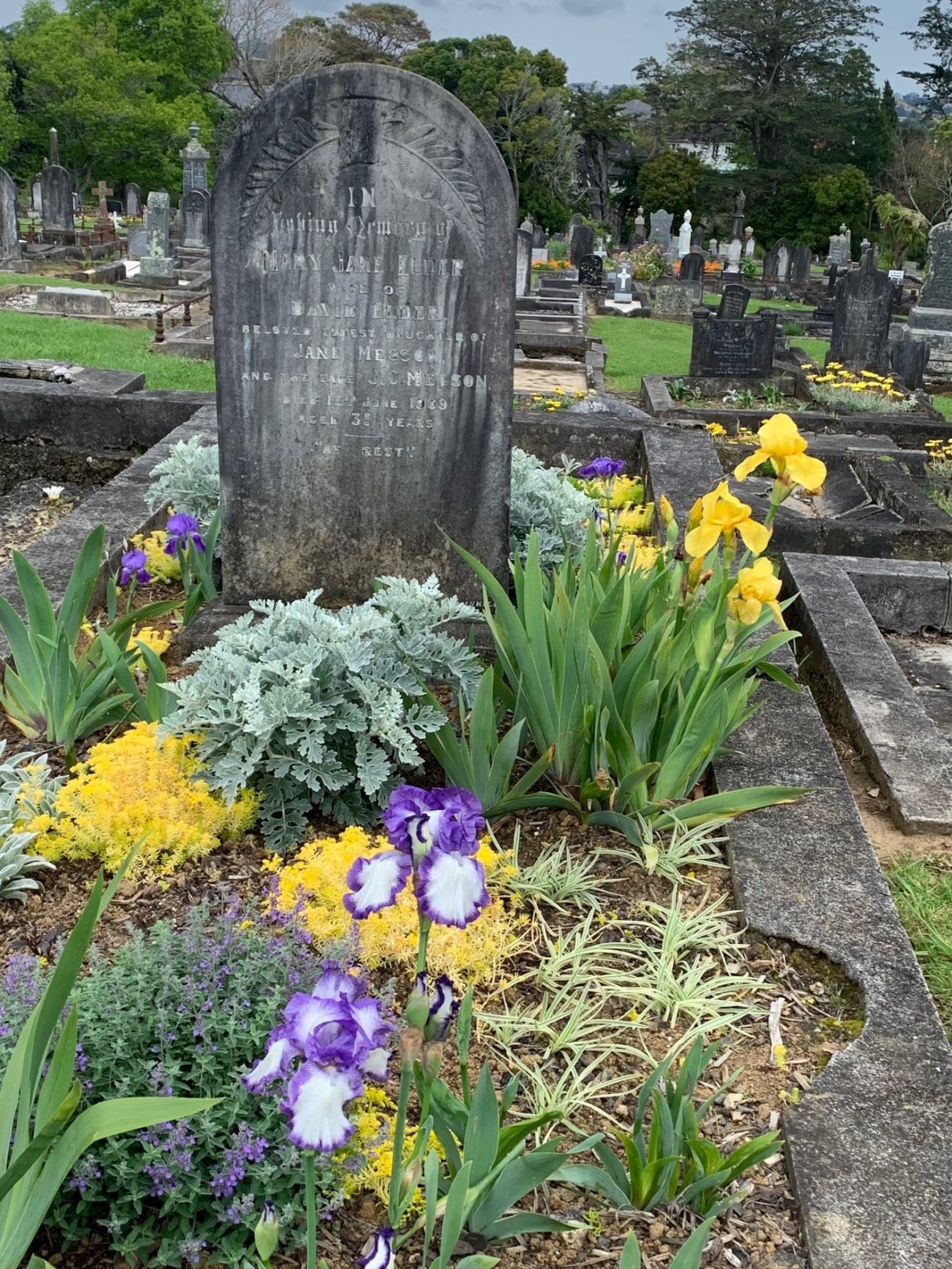 An Initiative Started by a Grieving Mother - Purewa Cemetery